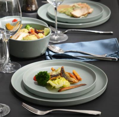 China Unbreakable Melamine Tableware Set Dishwasher Safe Bpa Free Sage for sale