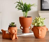 China Dishwasher Safe Small Terracotta Plant Pots Heat Resistant for sale