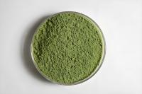 China Factory Wholesale 99.8% Pure Yellow Melamine Powder Daily Chemicals for Moulding Compound in Tableware for Melamine Tableware for sale