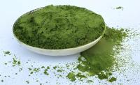 China Melamine for Sale Melamine Manufacturers Raw Material Melamine Glazing Powder for sale