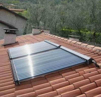 China Pressurized Solar Vacuum Tube Collector with Customized Request and Heat Pipe for sale
