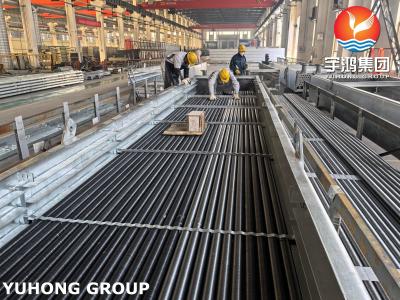China Air Cooler Tube Bundle ASME SA179 With Aluminum 1060 And Embedded G Type Fin Tube for sale