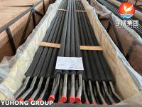 China T22 High Frequency Weld Serrated Finned Tube Bundle For Power Plant Heat Recovery Steam Generation for sale