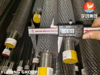 China ASTM A213 TP11 T21 T91 With Carbon Steel Fin Hf Welding Fin Tube for sale