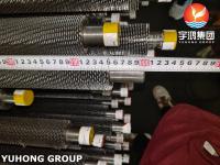 China ASTM A213 TP11 T21 T91 With Carbon Steel Fin Hf Welding Fin Tube for sale