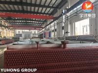 China API 661 Air Cooled Heat Exchanger Tube Bundle with Tubesheet for Petrochemical for sale