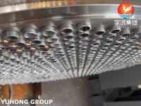 China ASME SA213 TP316L Floating Head Exchanger Tube Bundle for sale