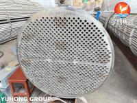 China ASME SA213 TP316L Floating Head Exchanger Tube Bundle for sale