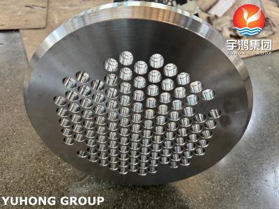 China ASME TEMA Tube Bundle with Duplex Seamless Tubes and F53 Tubesheet for Heat Exchangers for sale