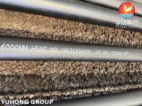 China ASTM A335 P11 Boiler Tube Cr-Mo Alloy Steel Pipe for Superheater And Heat Exchanger for sale