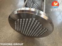 China TEMA Tube Bundle for Heat Exchanger Fabricated with S32750, F53 Duplex Seamless Tubes And Tubesheet for sale