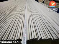 China ASME SA213 TP316L Heat Exchanger Seamless Tube 1.4404，X2CrNiMo17-12-2 for sale