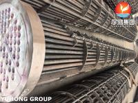China ASME SA179 Replacement Tube Bundle with SA266 Forged Tubesheet for sale