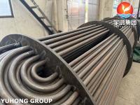 China Industrial Heat Exchanger Tube Bundle -Petrochemical Reforming / Power Plant Cooler / Pharmaceutical Reactor for sale