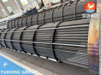 China Industrial Heat Exchanger Tube Bundle -Petrochemical Reforming / Power Plant Cooler / Pharmaceutical Reactor for sale