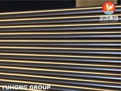 China ASTM A269 TP316L Stainless Steel BA Tube For Oil and Gas Industry for sale