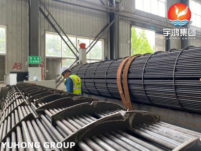 China TEMA Shell And Tube Heat Exchanger BFU Type For Fertilizer Plant ASME U Certificated for sale