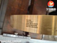 China ASME SB171 C46400 Forged Naval Brass Tubesheet for sale