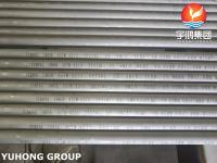 China ASME A213 TP316L Seamless Stainless Steel Tube for Shell and Tube Heat Exchanger Tube Bundle for sale