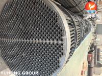 China ASME SA179 Tube Bundle With SA266 Gr.2N Tubesheet for Shell and Tube Heat Exchangers for sale