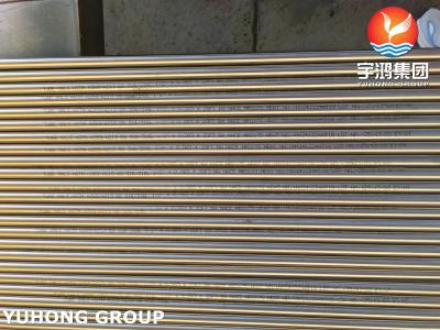 China Astm A269 Tp316l Seamless Stainless Steel Heat Exchanger Tube For Shell And Tube Heat Exchanger And Heat Exchanger Tubesheet for sale