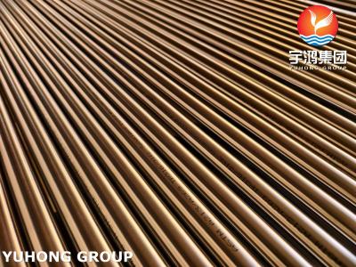 China ASTM A269 TP316L BRIGHT ANNEALED BA STAINLESS STEEL SEAMLESS TUBE FOR SHELL AND TUBE HEAT EXCHANGER AND HEAT EXCHANGER TUBESHEET for sale