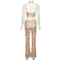 China Breathable 2 Piece Crop Top And Trousers Halter Hollow Vest Slim Micro Trousers Set for sale