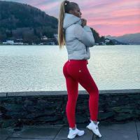 China High Elastic Stretch Bum Lift Yoga Leggings Plus Size Seven Color for sale