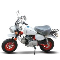 China BY-110 Electric Motorcycle Dirt Bike 110cc 125cc Motocross Dirt Pit for sale