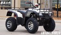 China Red 4 Seater Off Road Buggy Small 200CC 250CC With Aluminum Wheels for sale