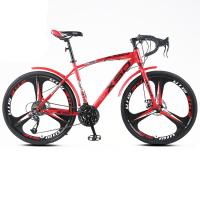 China Adult Steel Mountain Bike 24 Speed 21 24 27 30 29 Inch Travel Bike for sale
