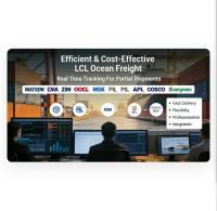 China Less Than Container Load LCL Ocean Freight Forwarder Real Time Tracking for sale