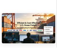 China Less Than Container Load LCL Ocean Freight Forwarder Real Time Tracking for sale