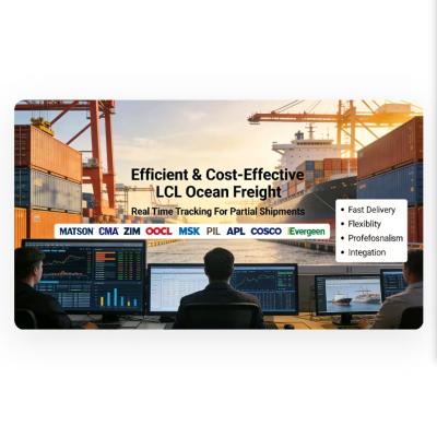 China Less Than Container Load LCL Ocean Freight Forwarder Real Time Tracking for sale