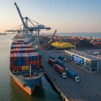 China Full Container Ocean Freight Shipping Arrival At Port Bulk Cargo Customs Declaration for sale