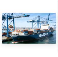 China Full Container Ocean Freight Shipping Arrival At Port Bulk Cargo Customs Declaration for sale