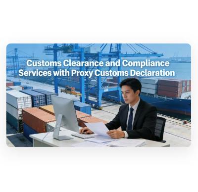 China Comprehensive Customs Clearance Services , Compliance Services With Proxy Customs Declaration for sale