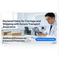 China Custom Value Added Services  Declared Value For Carriage for sale