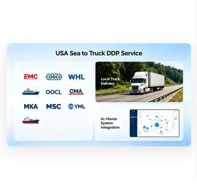 China USA Sea To Truck DDP Service For Reliable Door To Door Logistic for sale