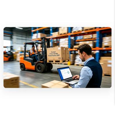 China Europe Cross Border Small Packet DDP Shipping Reliable Delivery for sale