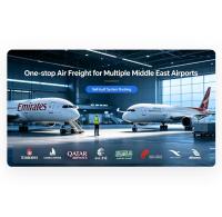 China One Stop Efficient Air Freight Service Door To Door For Multiple Middle East Airports for sale