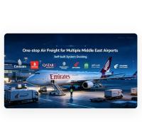 China One Stop Efficient Air Freight Service Door To Door For Multiple Middle East Airports for sale