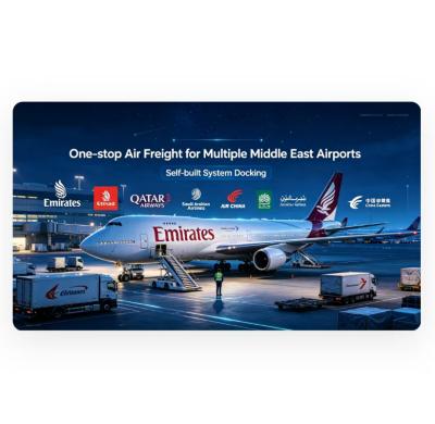 China One Stop Efficient Air Freight Service Door To Door For Multiple Middle East Airports for sale