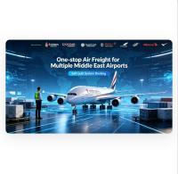 China One Stop Efficient Air Freight Service Door To Door For Multiple Middle East Airports for sale