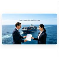 China From China To Russia LCL Container Shipping , Cost Effective Cross Border Ocean Freight Logistics for sale