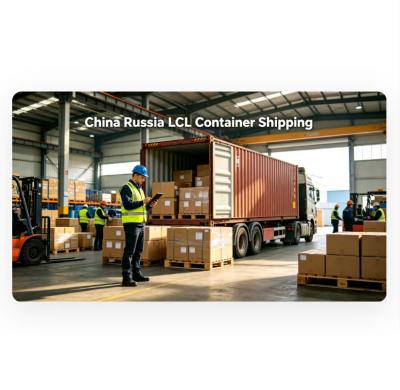 China From China To Russia LCL Container Shipping , Cost Effective Cross Border Ocean Freight Logistics for sale
