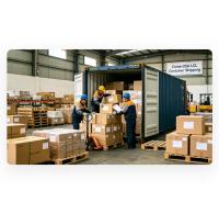 China China To USA LCL Container Shipping Sea Freight For General Cargo for sale