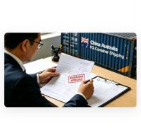 China FCL Sea Shipping From China To Australia Sea Freight Logistics for sale