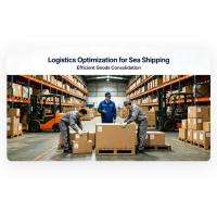 China Warehouse To Warehouse Sea Shipping Service For Overseas Transshipment / Global Logistics for sale