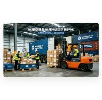 China Warehouse To Warehouse Sea Shipping Service For Overseas Transshipment / Global Logistics for sale